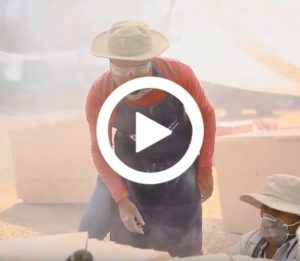 RMZ Foundation: Our Story/ Empowering Society Through Art